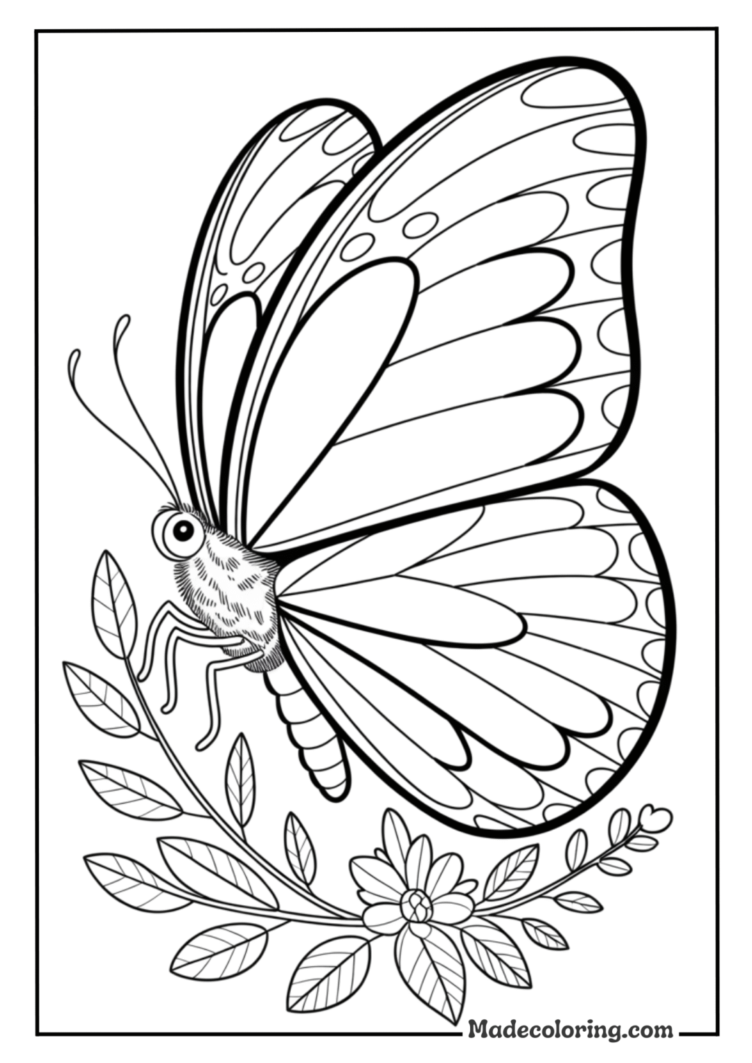 75 Butterfly Coloring Pages Free PDF Printables